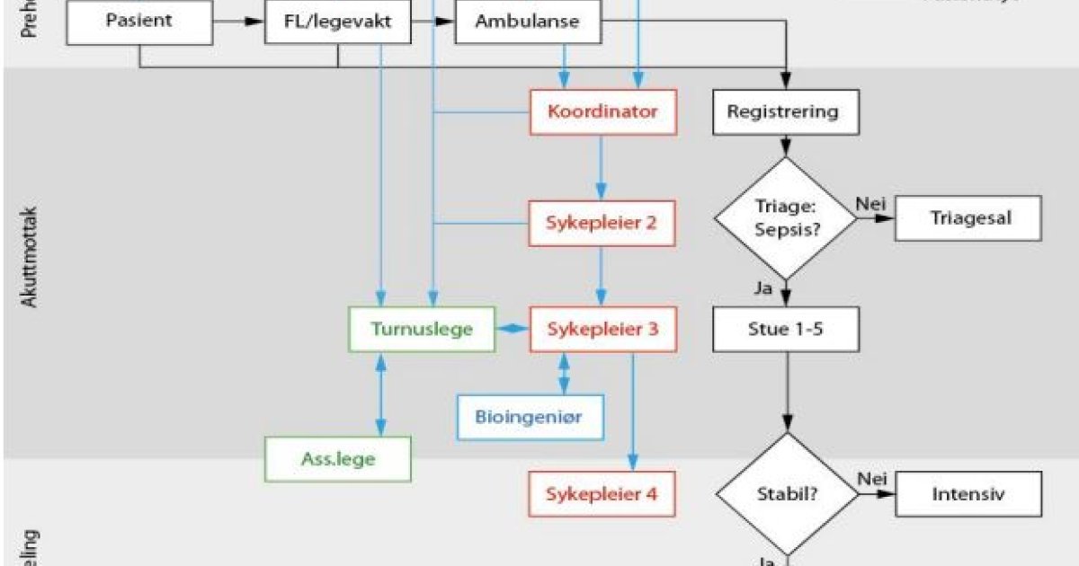 Tips#1 Forstå systemet - Itryggehender